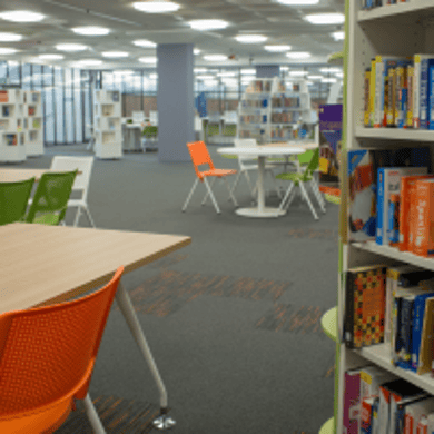 Bookshelf | Sutton Council's Cultural Services [BETA]